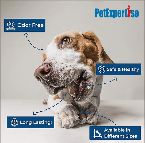 Will Bones & Antler Treats Splinter? A Pet Safety Guide – Pet Expertise