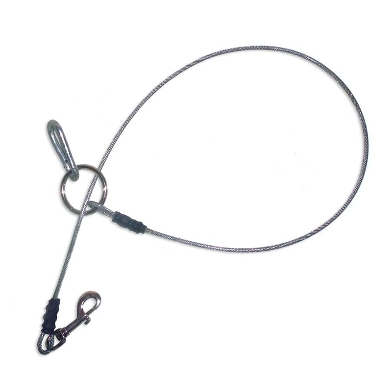 Chew Proof Indoor Tether for Dog Training – Pet Expertise