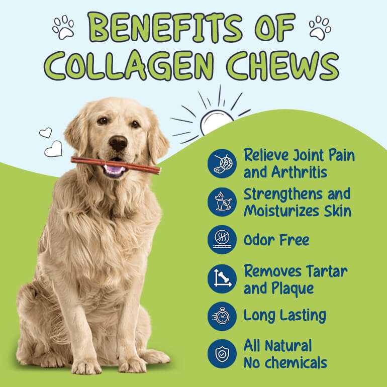 Collagen Sticks For Dogs - Collagen Dog Chews – Pet Expertise