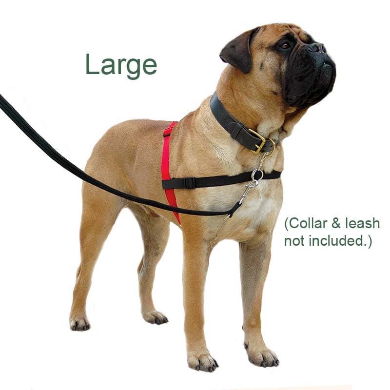 Halti Harness No Pull Harness, Multi functional and with Padding! – Pet ...