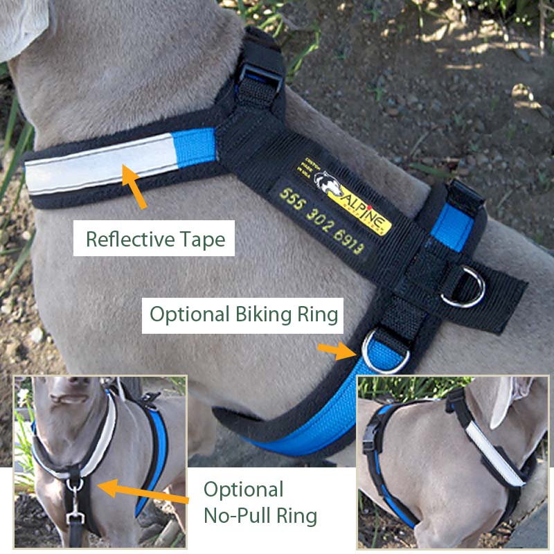 Custom Dog Harness | Personalized Harnesses For Dogs – Pet Expertise